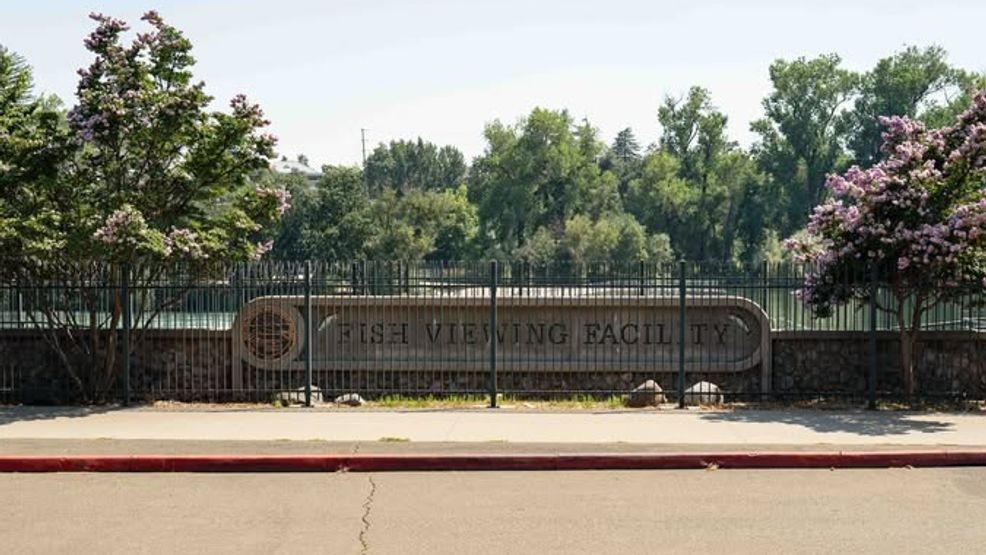 Redding fish ladder viewing area closed for repairs amid ongoing ...