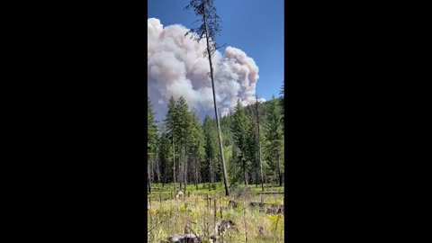 US: Hope Fire Rages Near Kettle Falls, Washington, Burning About 7,000 ...