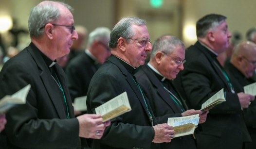 U.S. Catholic Bishops Confirm Church Will Continue Refraining from ...