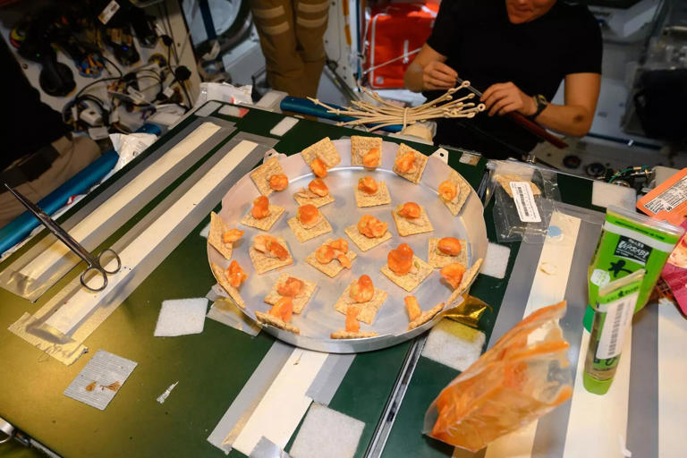 Shrimp cocktails, crackers & more: Astronaut Shubhanshu Shukla's joyful ...
