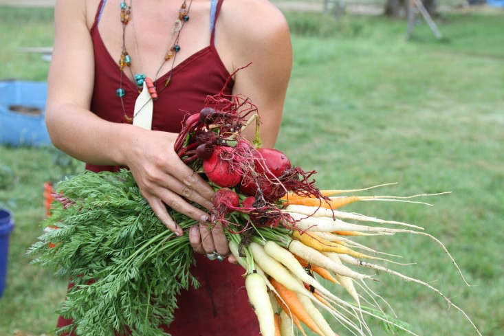 Midsummer Planting: What to Sow in July for a Late Summer or Early Fall ...