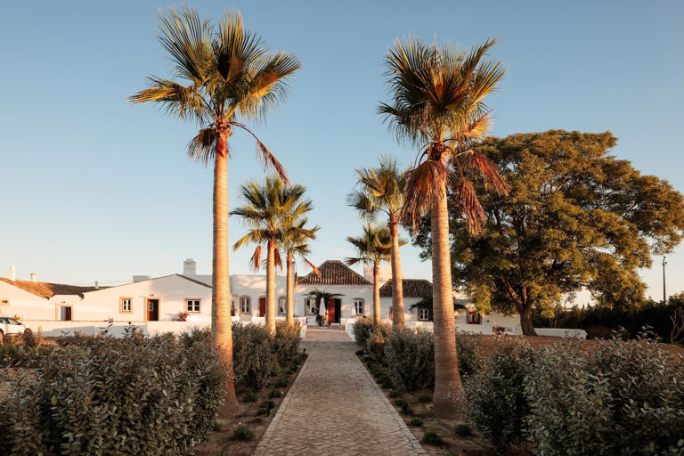 A Portuguese Farm with Guest Cottages—and Nearby Beaches—in a Nature ...