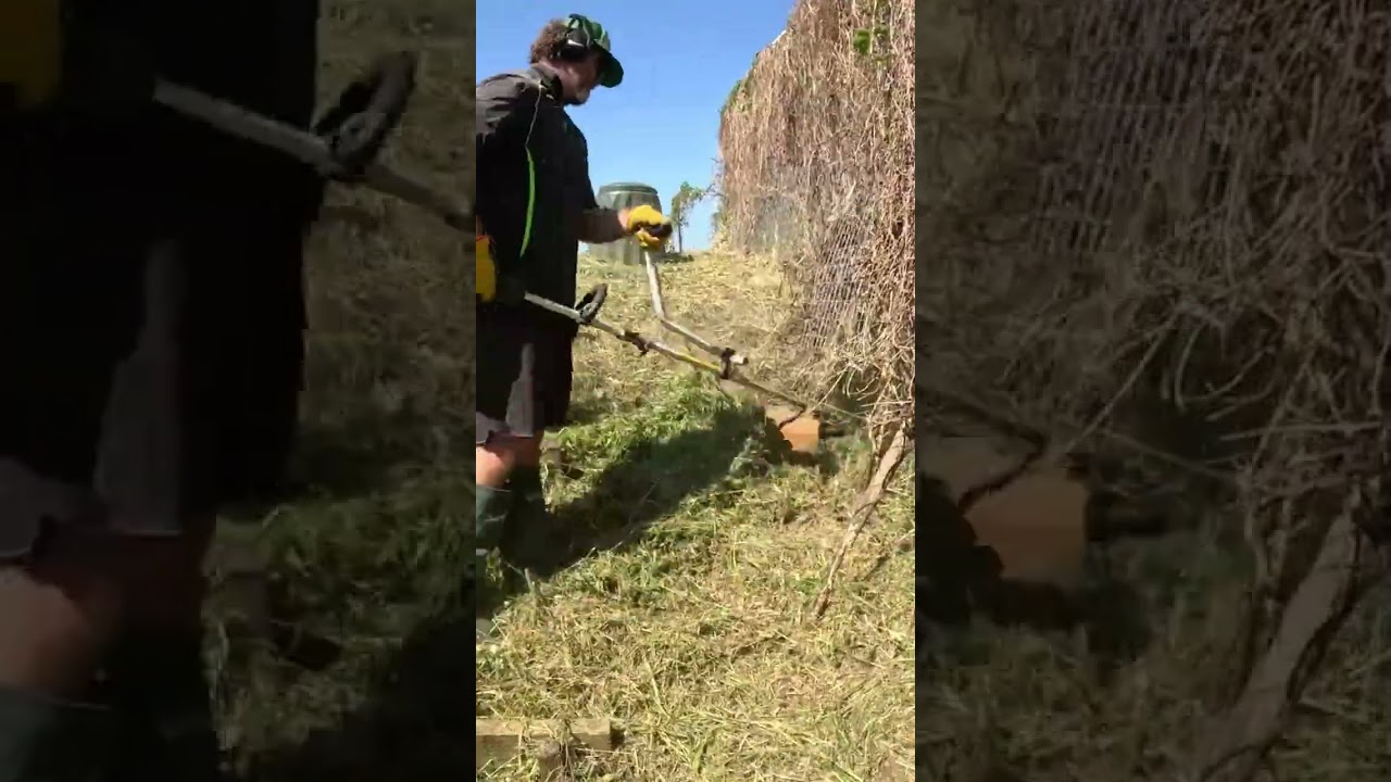 Injecting New Life Into This Run Down Yard!