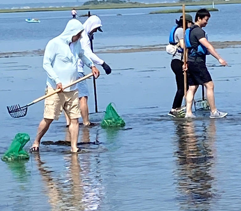 Want to go clamming? Go! It's easy. Here's how and where to go in NJ