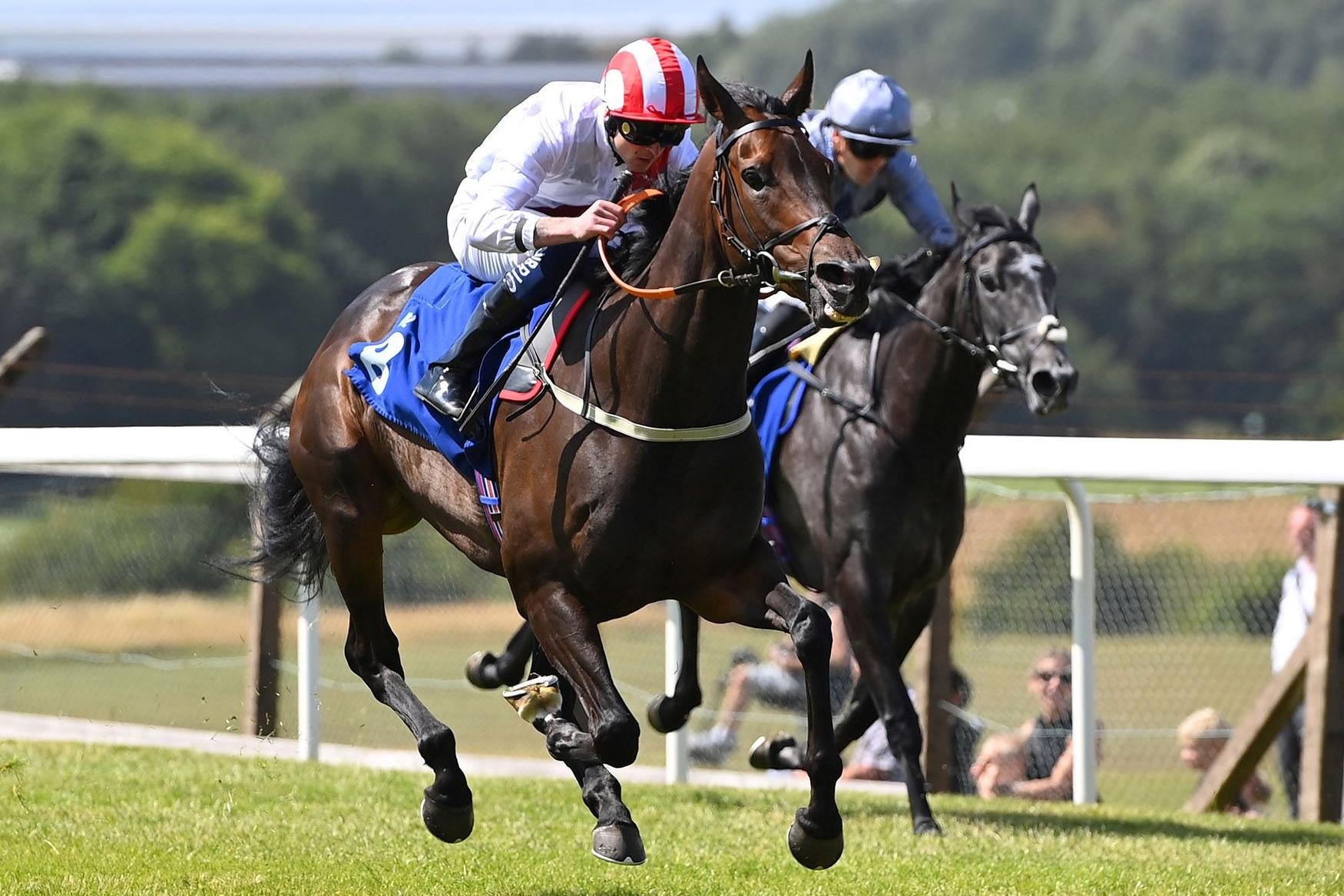 Royal Dress is impressive feature winner on day of fantastic racing at ...