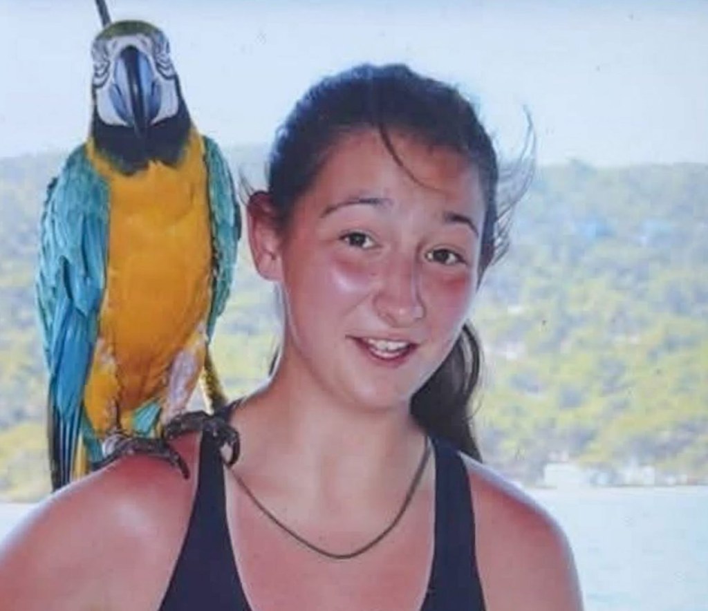 Footballer dies after being struck by car in Türkiye