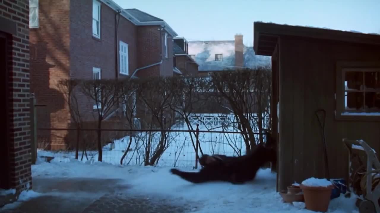 Why Home Alone Couldn't Survive Without Macaulay Culkin