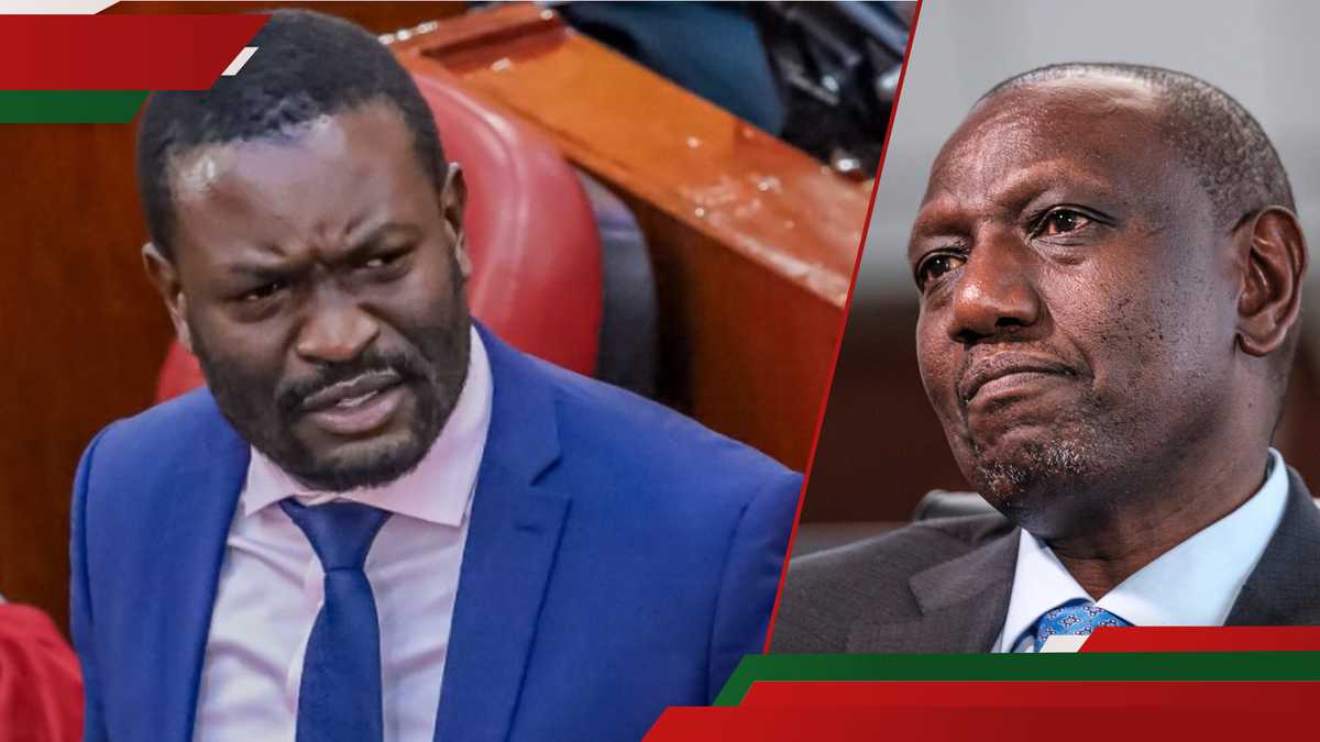 Edwin Sifuna explodes on William Ruto for ordering police to shoot ...