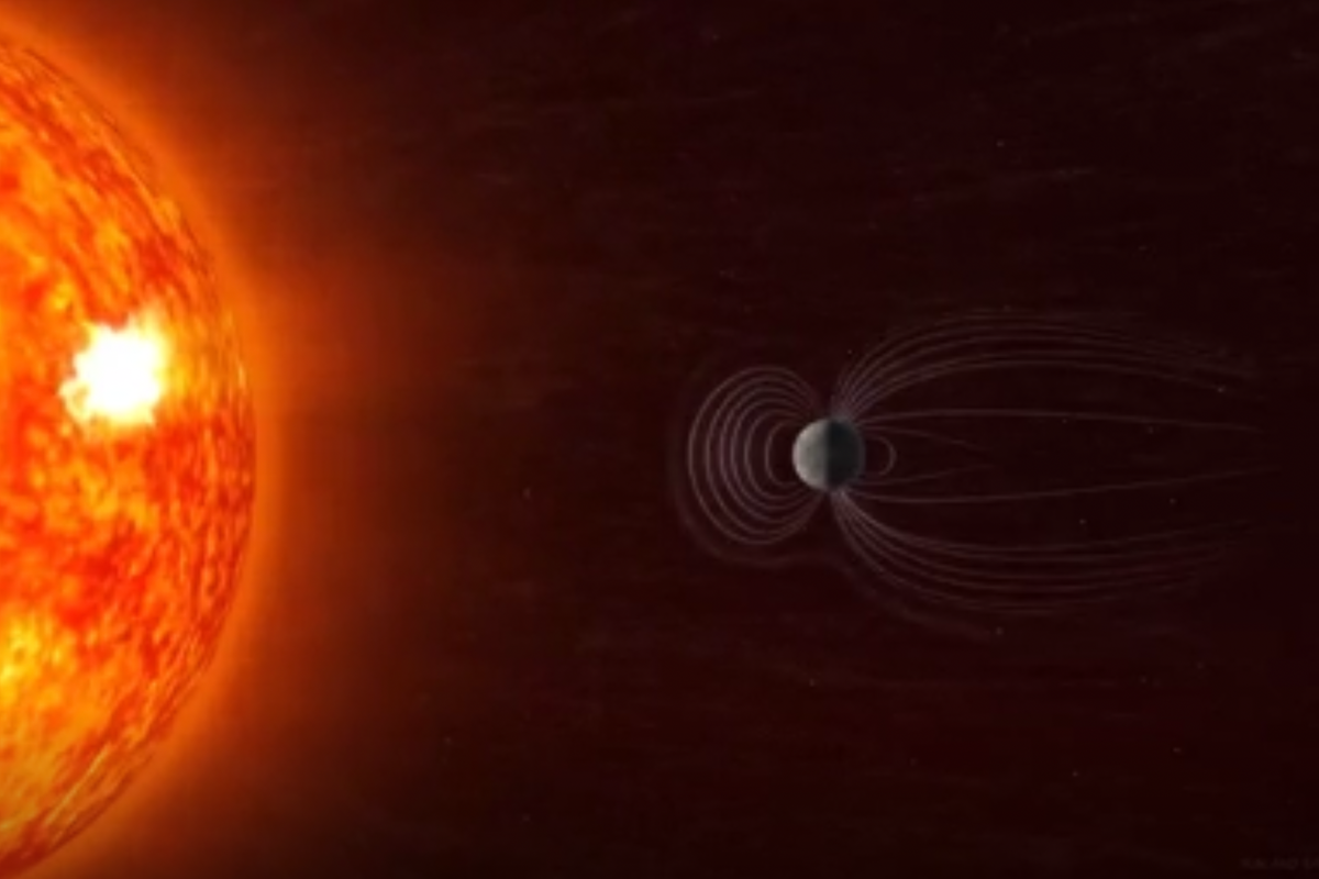 Nasa probe sends back closest-ever photos of the Sun