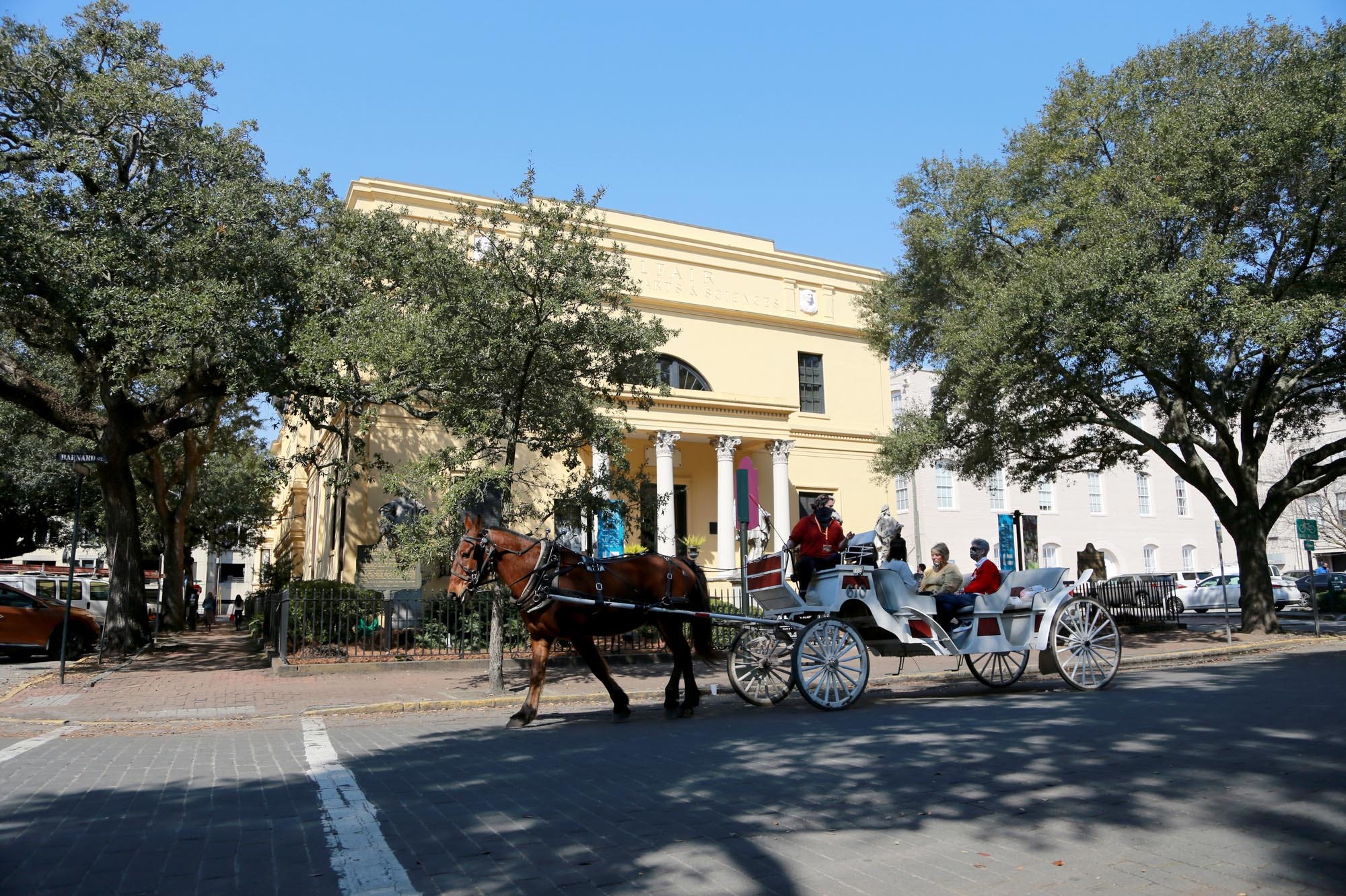 Proposed changes to heat regulations for horse carriage tours draws ...