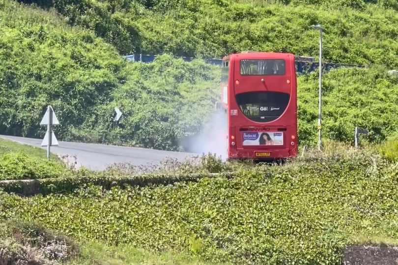 'Hairpin kingpin' double decker bus driver cheered after tight bend ...