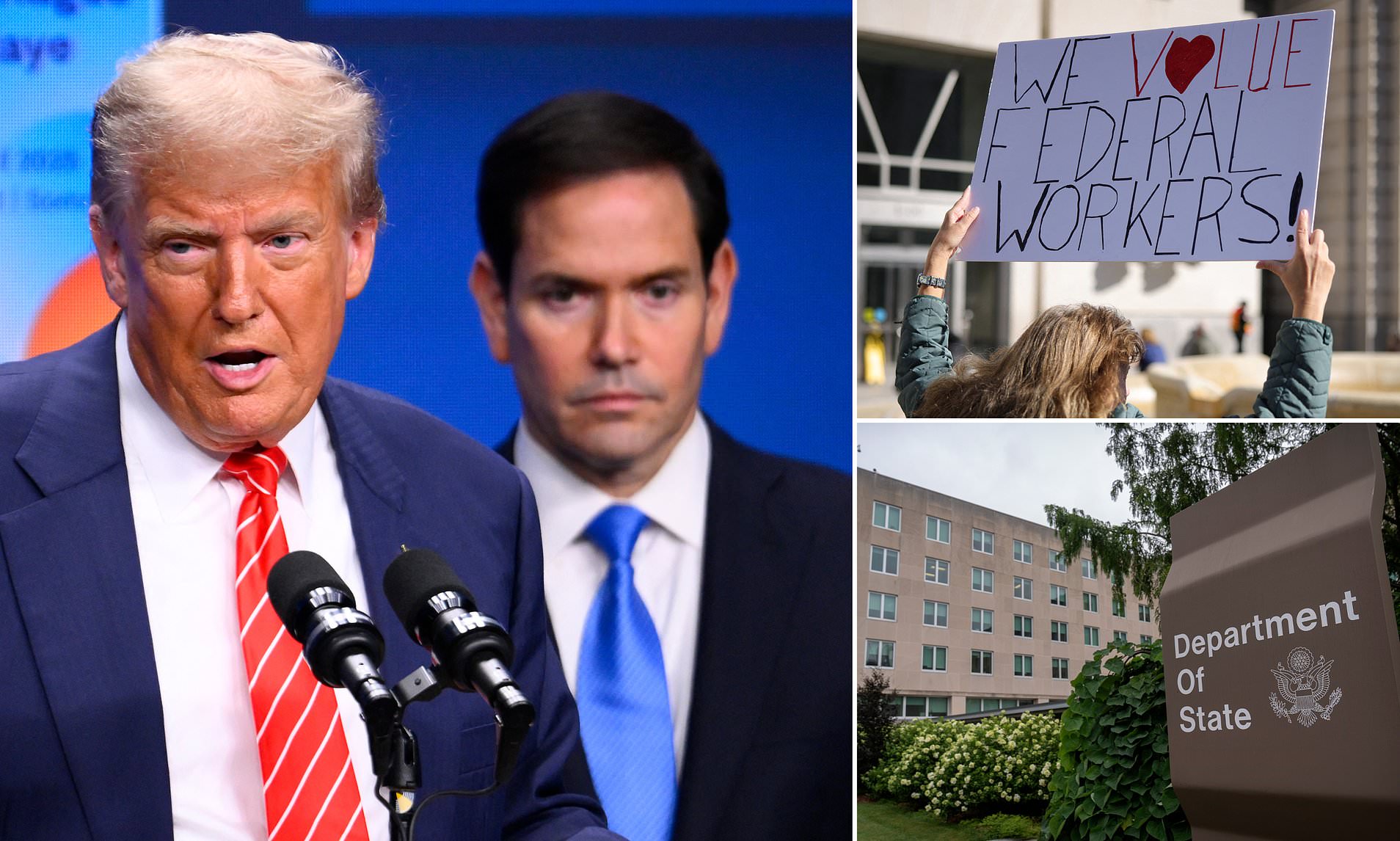 Trump begins mass government purge to dismantle 'radical political ...