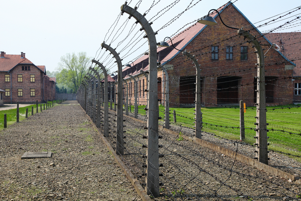 Polish MP Claims Auschwitz Gas Chambers Are “Fake”