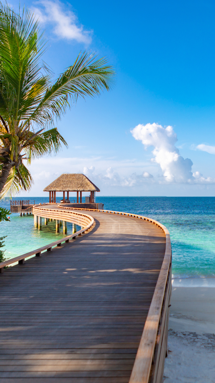 Unusual habits of notorious dictators