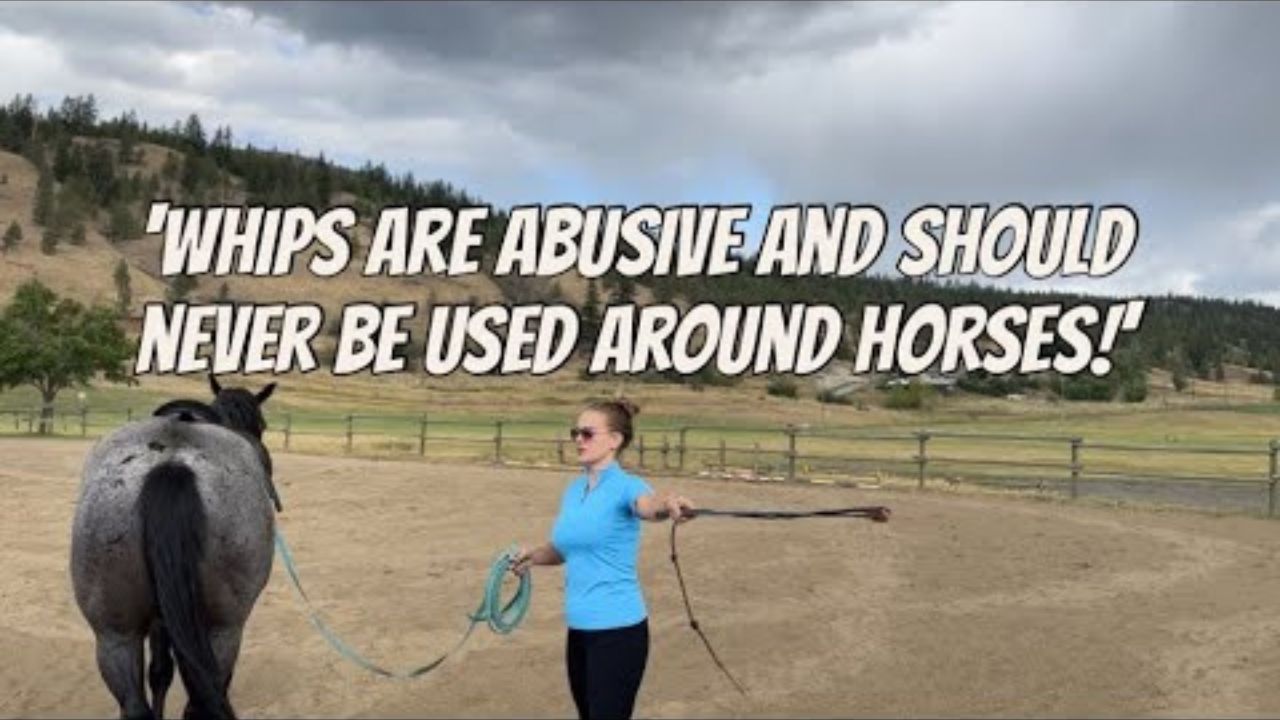 Any Piece of Equipment Can Become a Weapon When Used Incorrectly – So ...