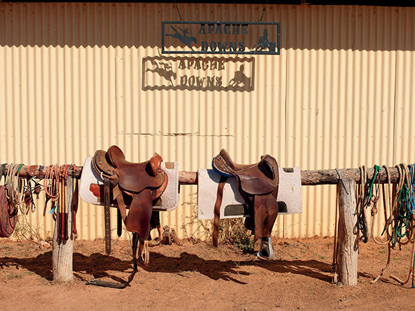 There's a new trail in Outback Queensland, and it's for camel racing