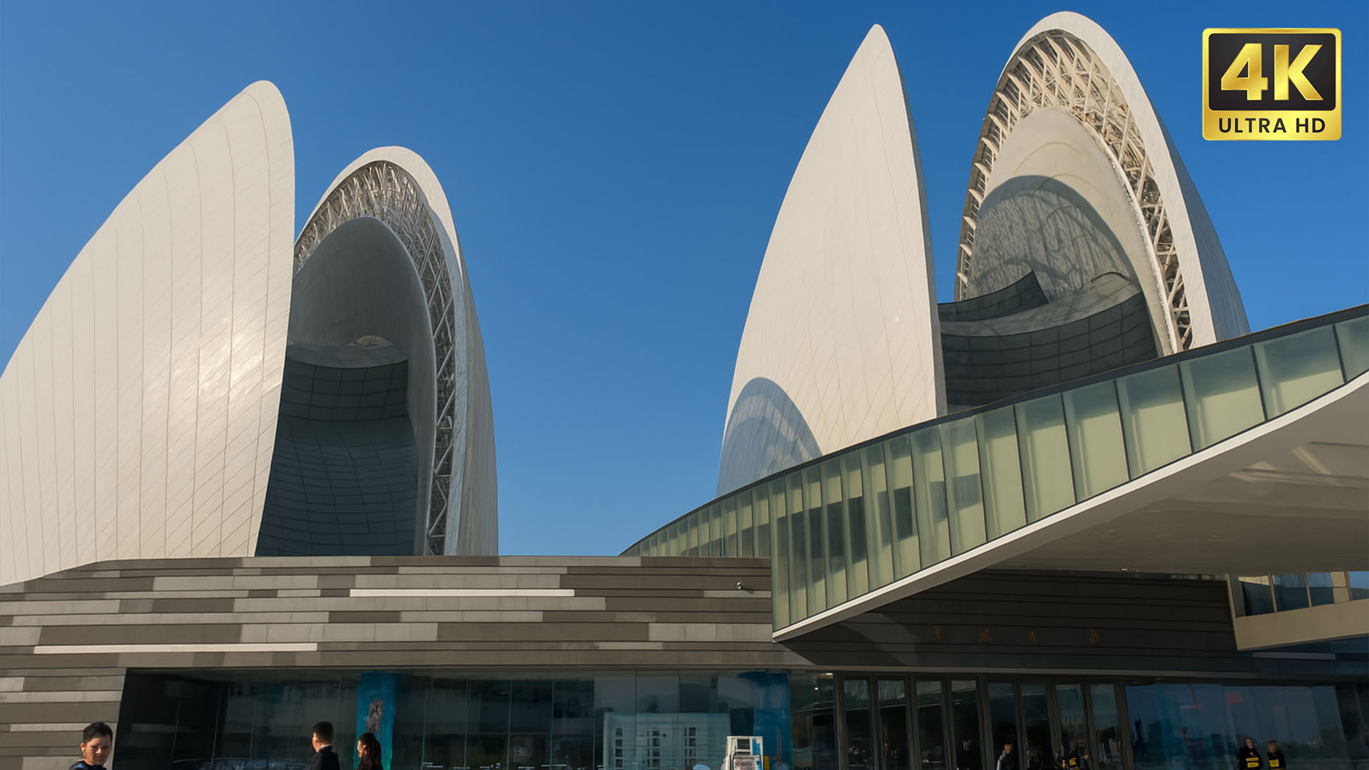 Chinas spektakulärstes Opernhaus - Heimat der weltgrößten Muschelstruktur