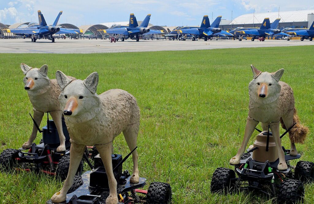 U.S. Army deploys ‘cyborg coyotes’ to guard air base