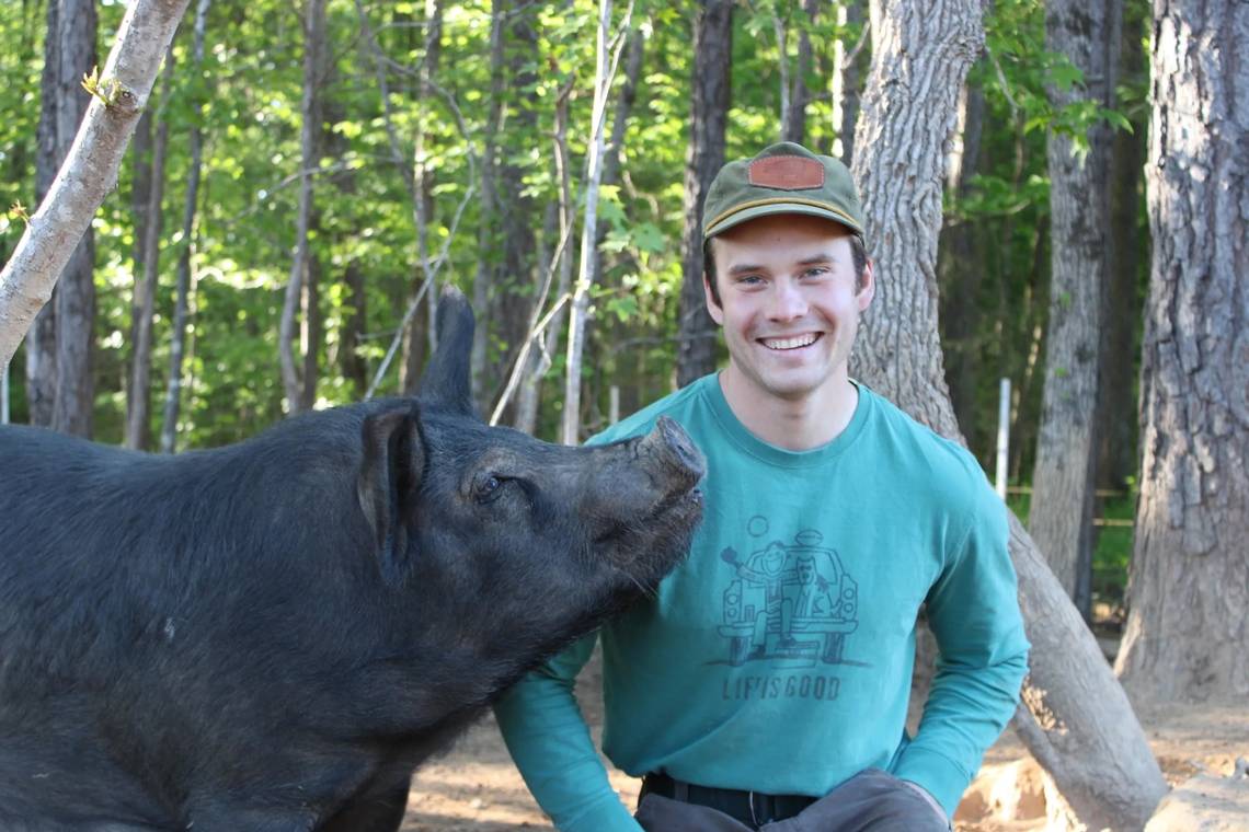 How one Carolina farmer's dream turned into a free-range hog heaven