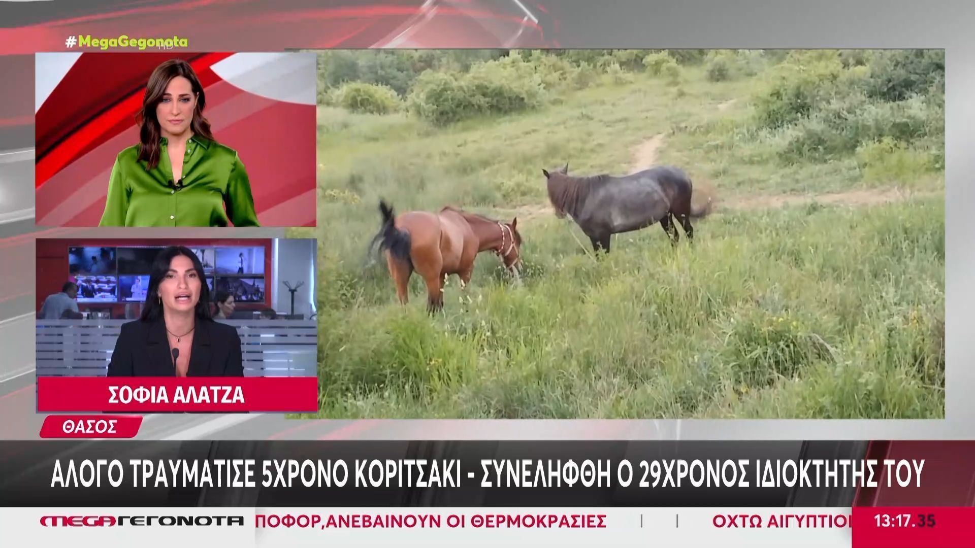 Θάσος: Άλογο τραυμάτισε 5χρονο κορίτσι - Συνελήφθη ο 29χρονος ...