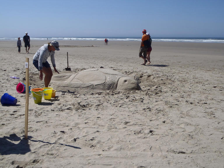 South Beach State Park on Oregon Coast to host sandcastle competition