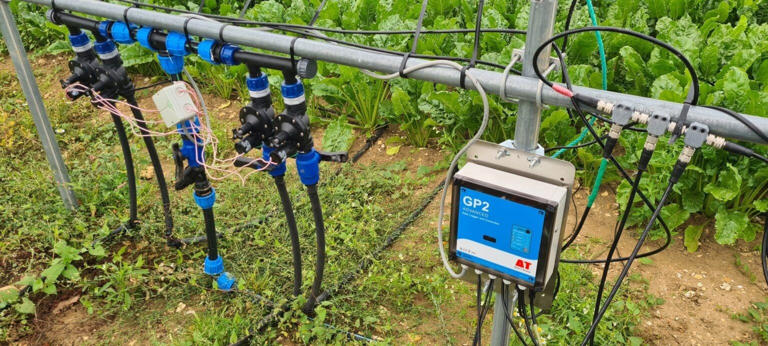 Beating the Drought: Inside BBRO’s High-Tech Beet Trials (Featuring the ...