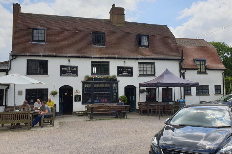 The absolutely gorgeous Essex pub with really good beer and a forest in ...