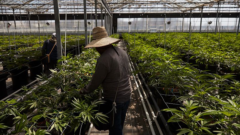 Agents clash with protesters during ICE raids at southern California ...