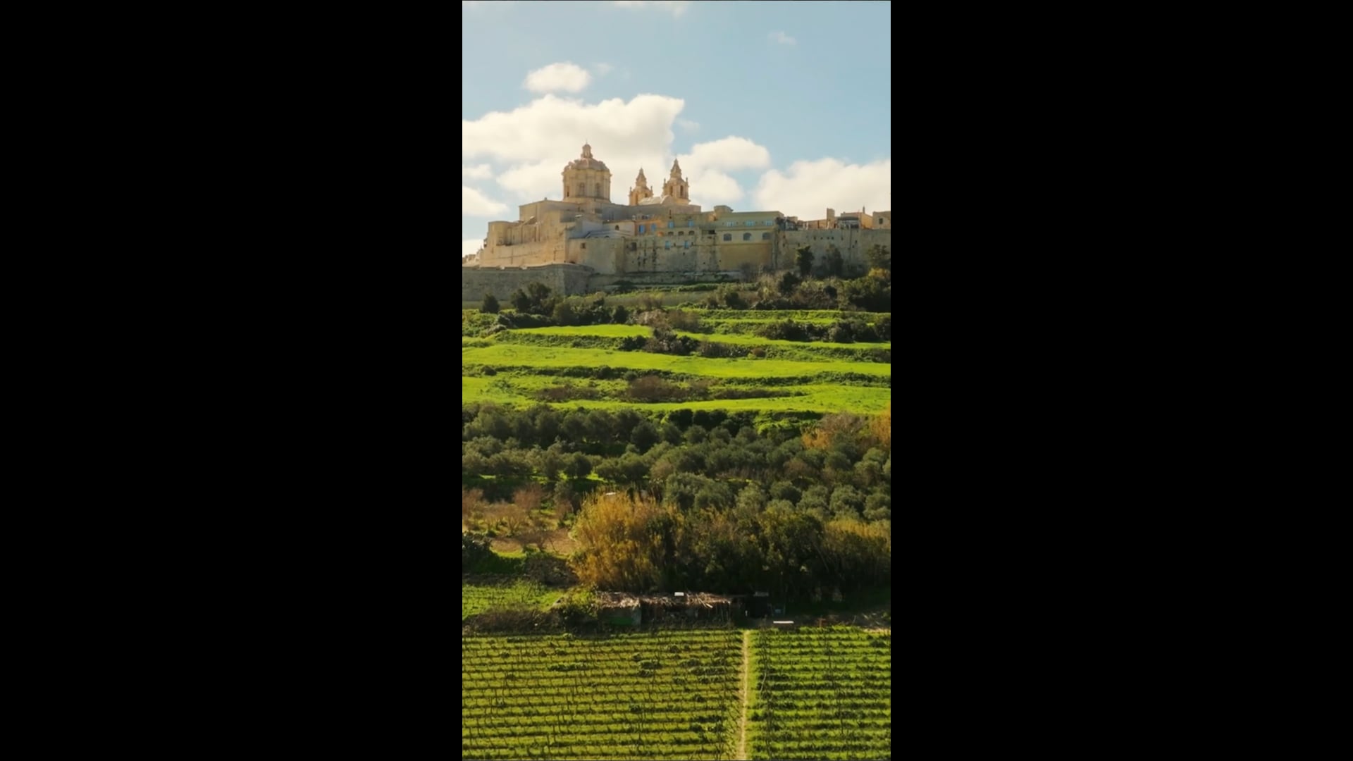Soaring Over Mdina: Discover Malta's Historic Walled Wonder.
