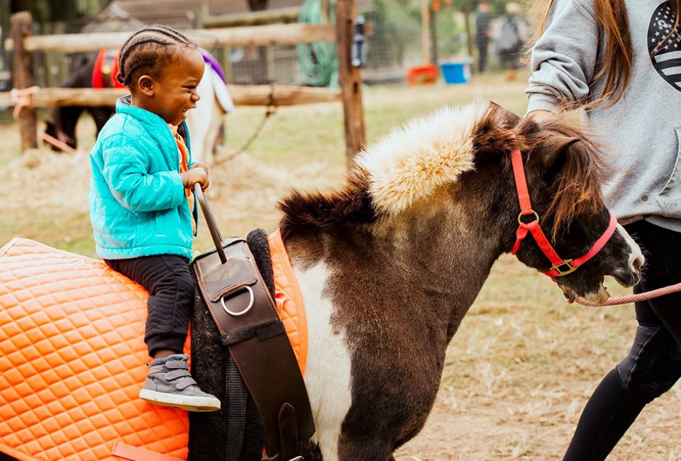 Farms with Animals and Petting Zoos near Philadelphia that are Perfect ...