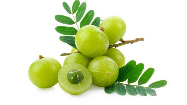 Amla explained: Uses, benefits, and healing properties