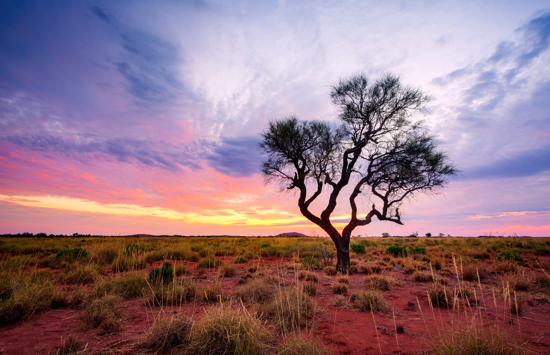 Stunning photos of the Australian wilderness