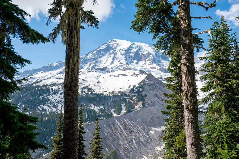 Mount Rainier has seen hundreds of earthquakes this week. Is it safe to ...