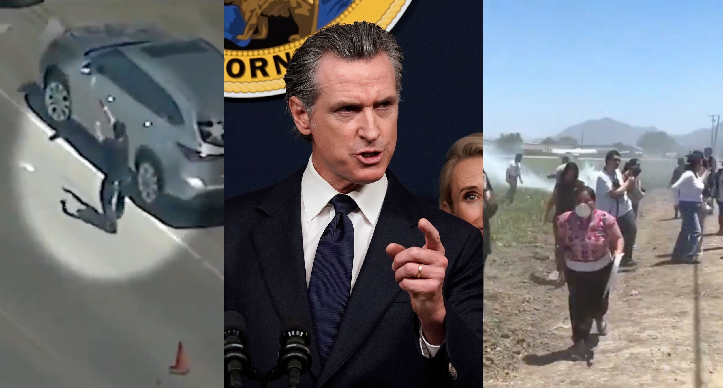 ‘Real Scum!’ Gavin Newsom Trades Barbs With DHS After Chaotic Pot Farm ...