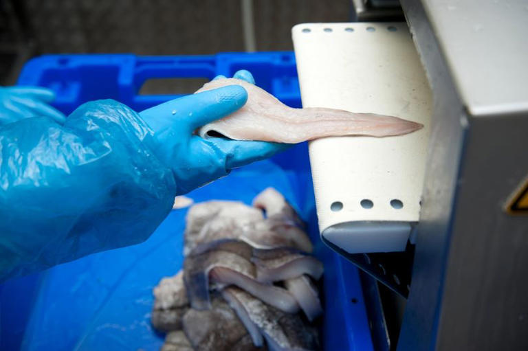 Jobs at risk as Grimsby fish processing plant closure confirmed