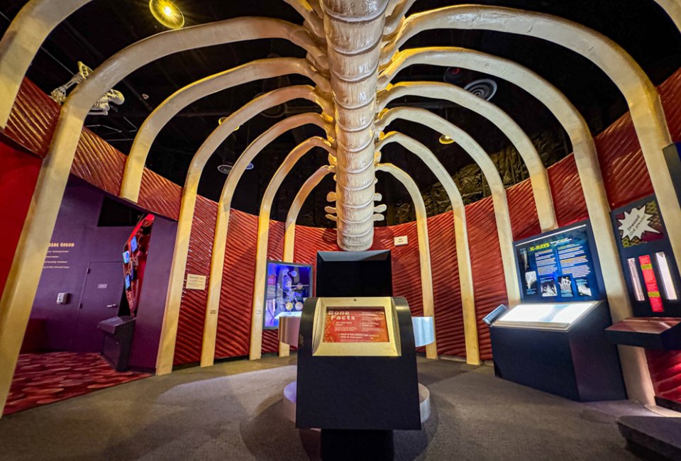 Inside Houston’s Health Museum: Hands-On Fun for Curious Kids