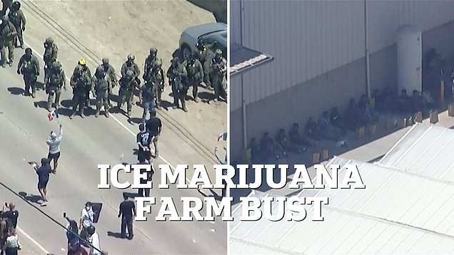 Protestors and ICE clash during federal raid at California farm