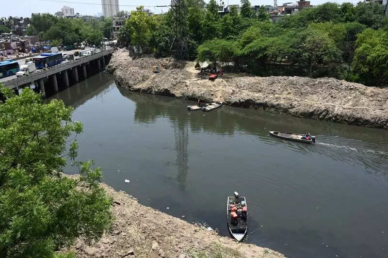 NGT seeks details of plans for stopping untreated sewage flow into ...