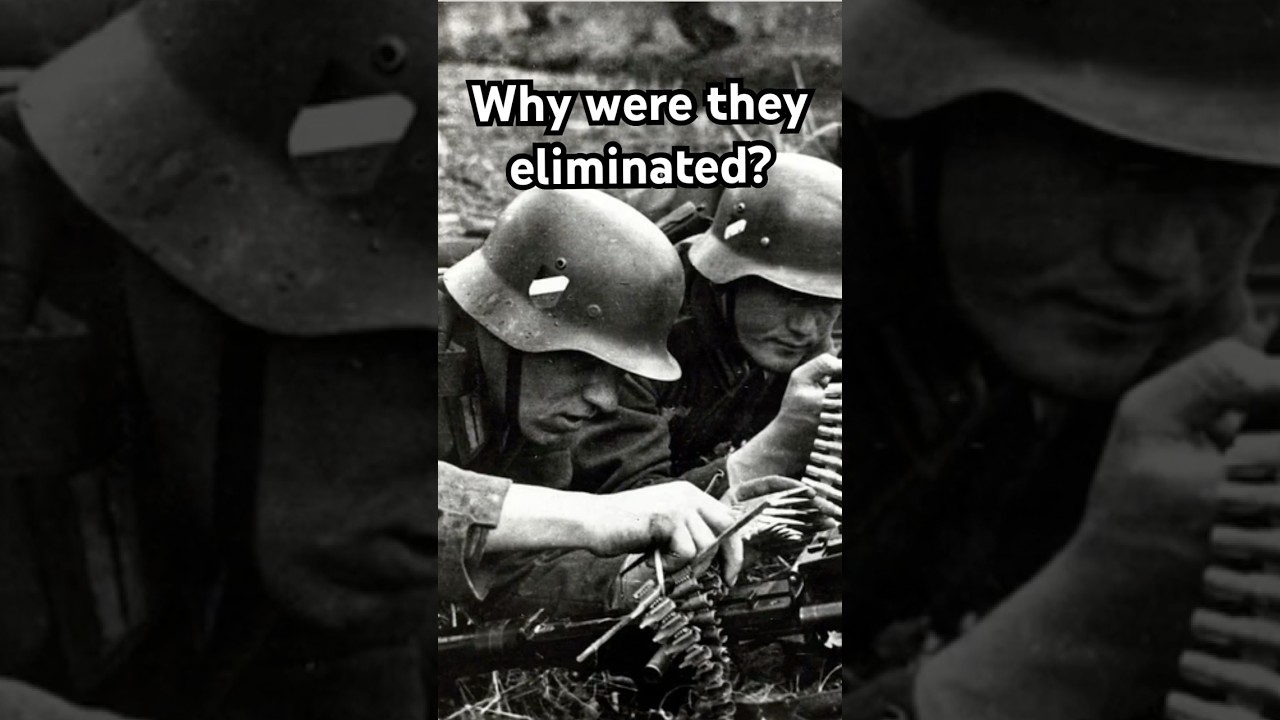 Decoding History: A Look at WWII German Helmet Decals