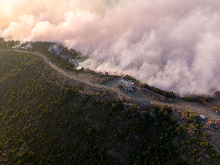 Iraq sends firefighters and water tankers to battle Syria forest fires