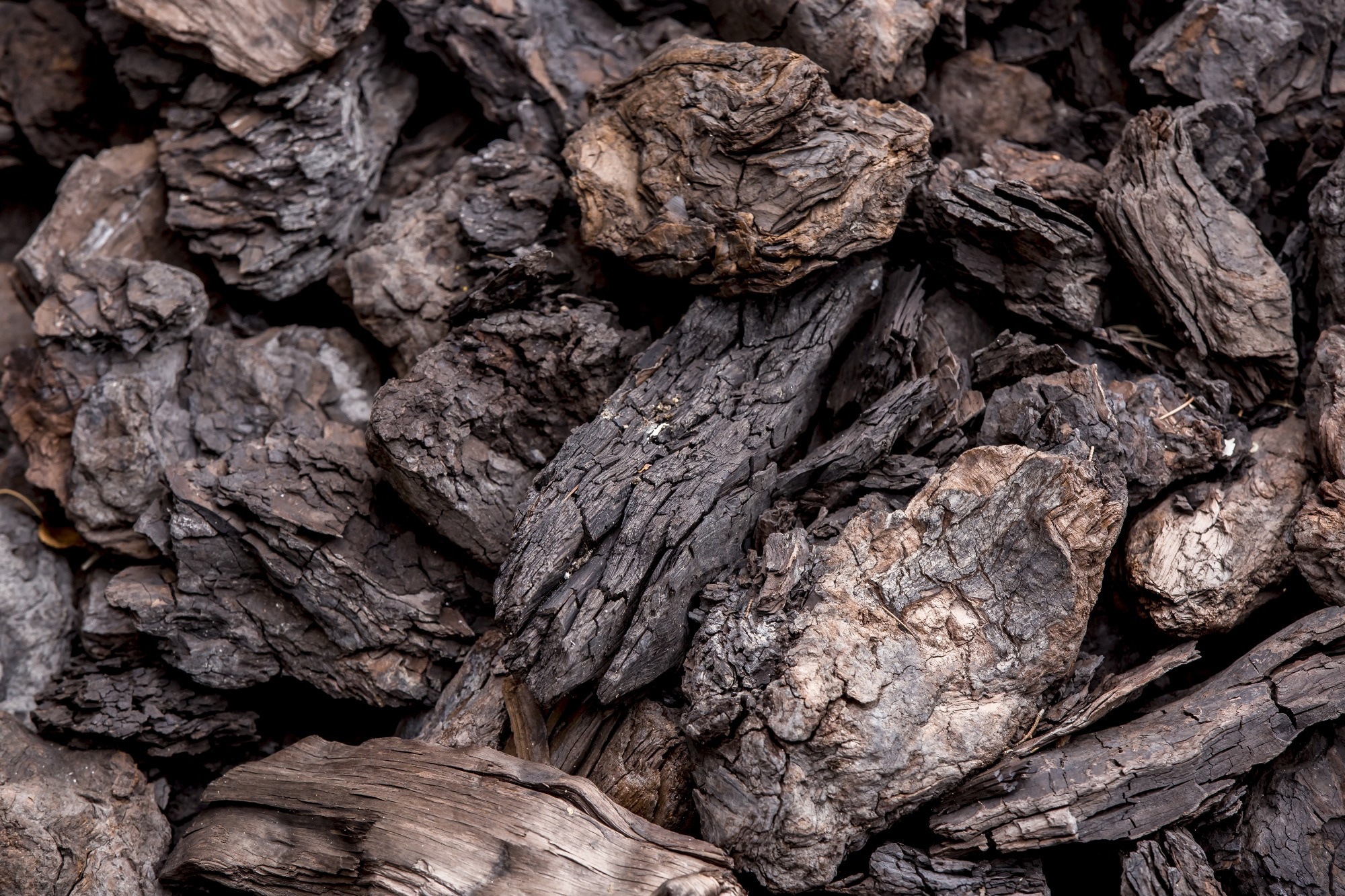 Study Shows Microstructural and Chemical Changes in Lignite During ...