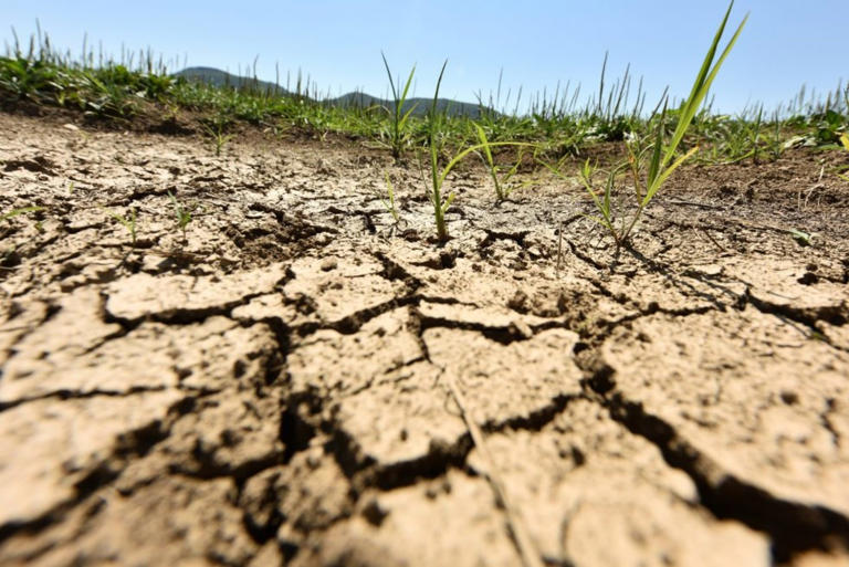 2040 emissions target: Where EU's climate policy is headed