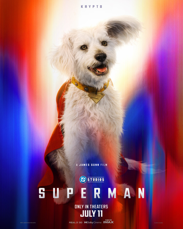 What Breed is Superman's Dog Krypton? Meet 7 Real-Life Superdog Lookalikes