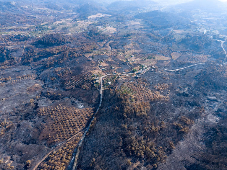 Iraq sends firefighters and water tankers to battle Syria forest fires