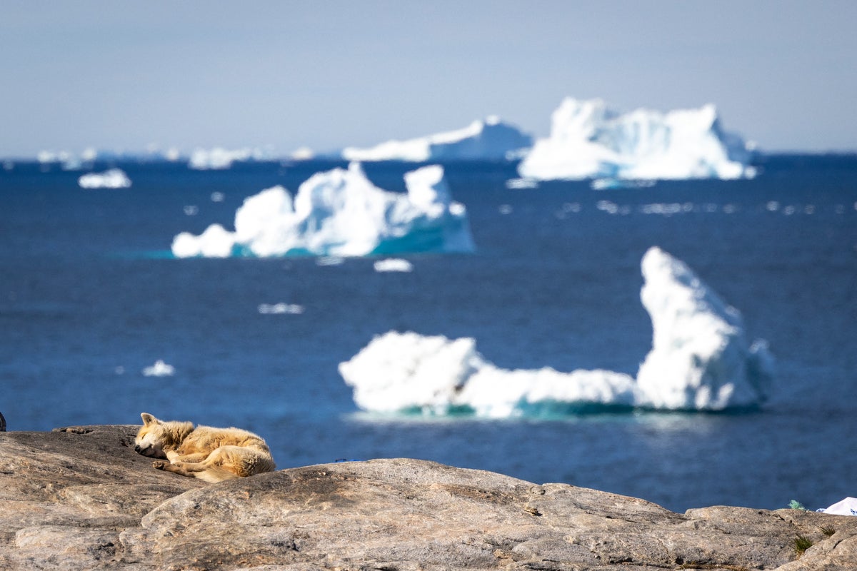 Scientists discover oldest known domesticated dog breed