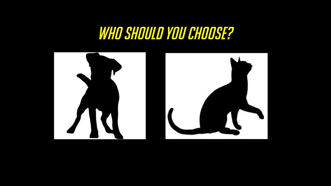 Support Tier List: Are Cats or Dogs S-Tier?