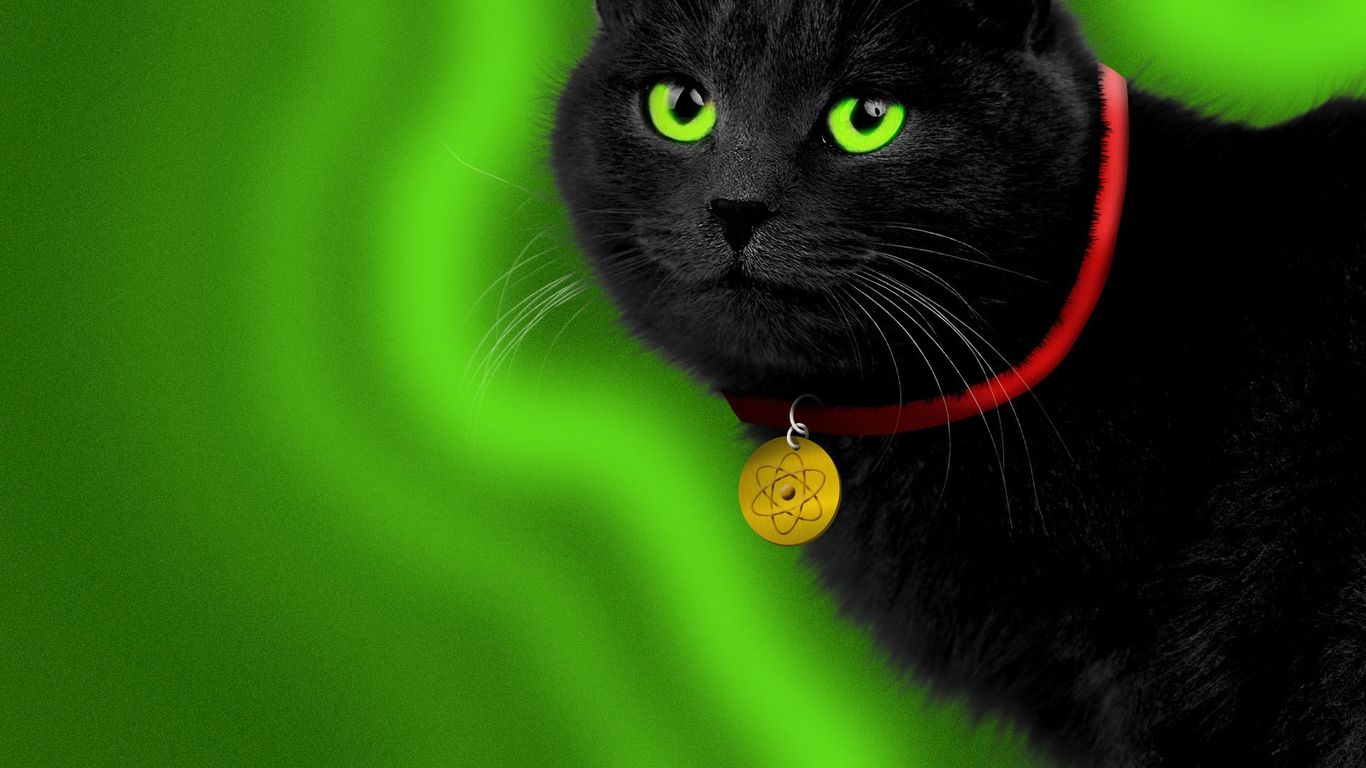 My cat became radioactive to save her life