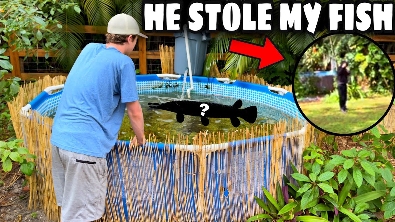 Thief Busted Stealing My Fish… and the Police Showed Up!