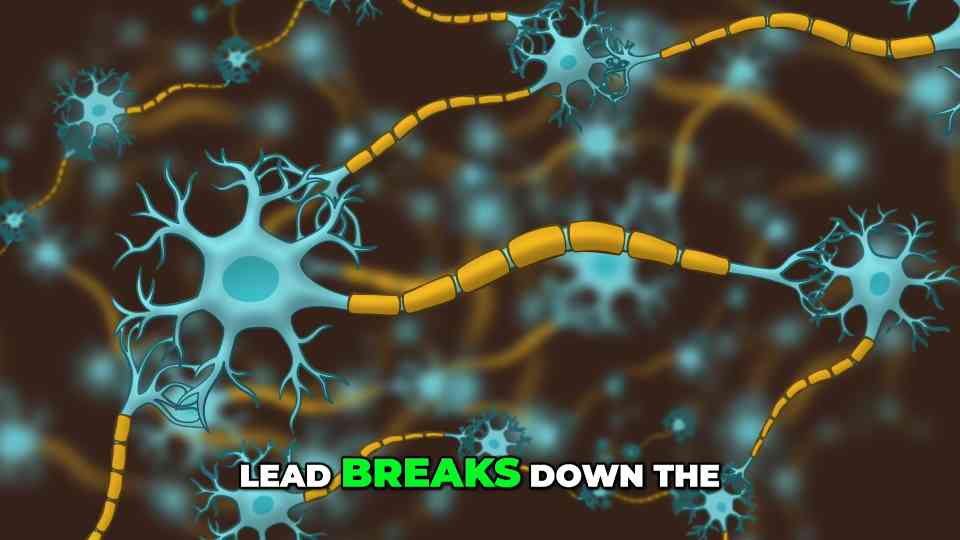 The Deadly Truth: Lead's Toxic Legacy & Midgley's Folly