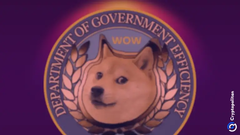 Eight more DOGE staffers join Musk in leaving the agency after tenure ...